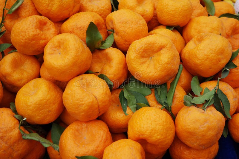 Fresh orange stock image. Image of harvest, grow, fresh - 29225715