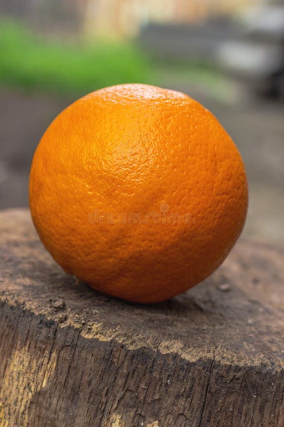 Fresh Orange stock image. Image of piece, color, flora - 39265383