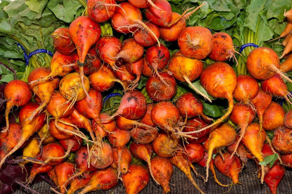 Fresh Orange Beets on Display Stock Image - Image of juicy, fruit: 20915541
