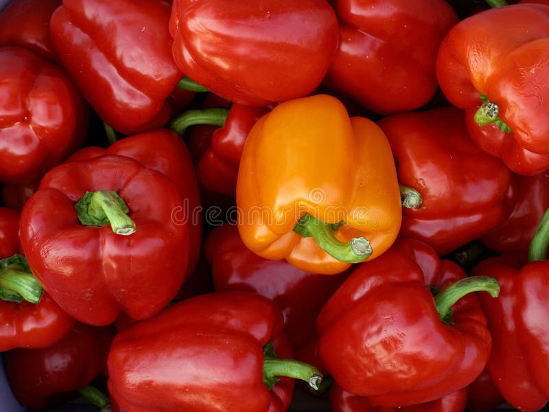 Fresh Orange Capsicum stock photo. Image of fresh, orange - 75117982