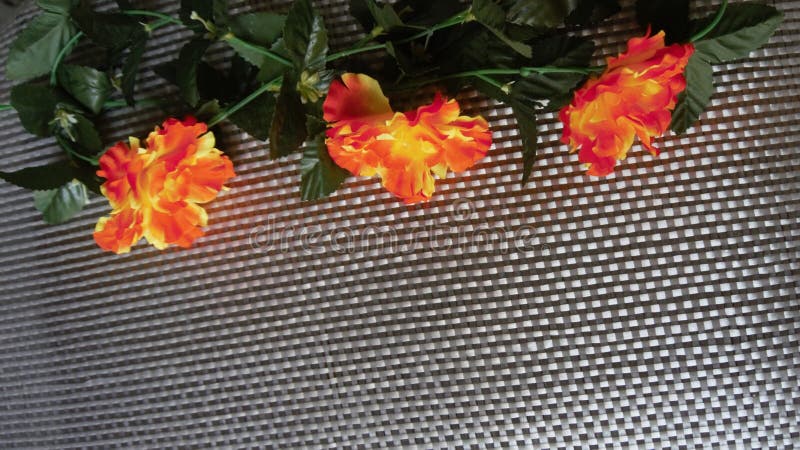 Fresh Orange Color Flowers with Leaves on White Background Stock Image ...