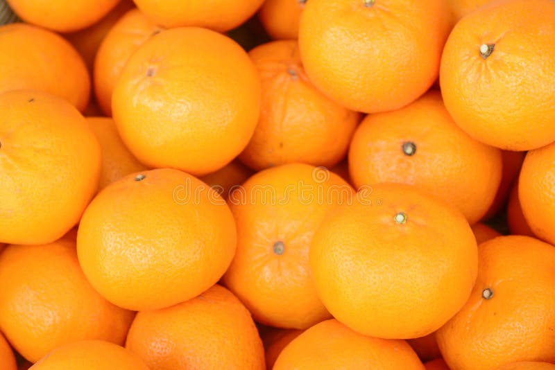 Fresh orange from farm stock photo. Image of juice, harvest - 47395516