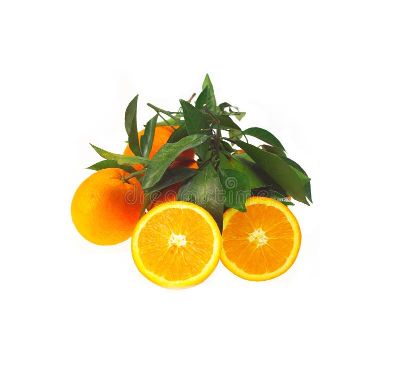 Fresh orange isolated stock photo. Image of citrus, slice - 22709124