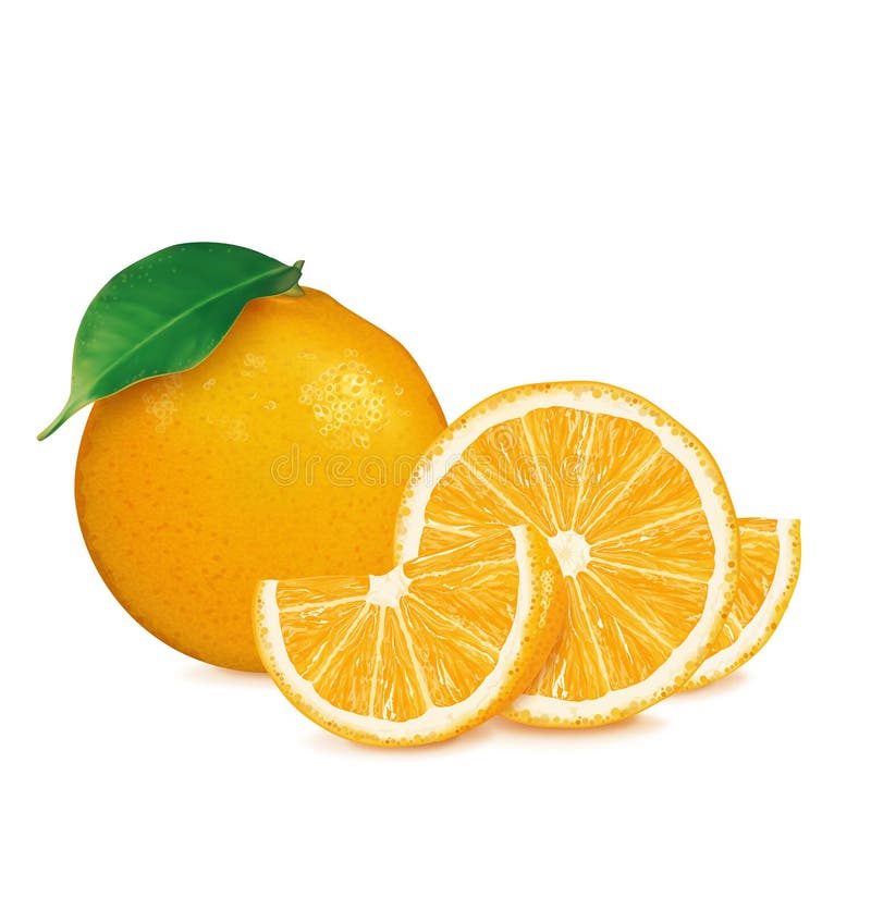 Fresh Orange. Vector Illustration Stock Vector - Illustration of sweet ...
