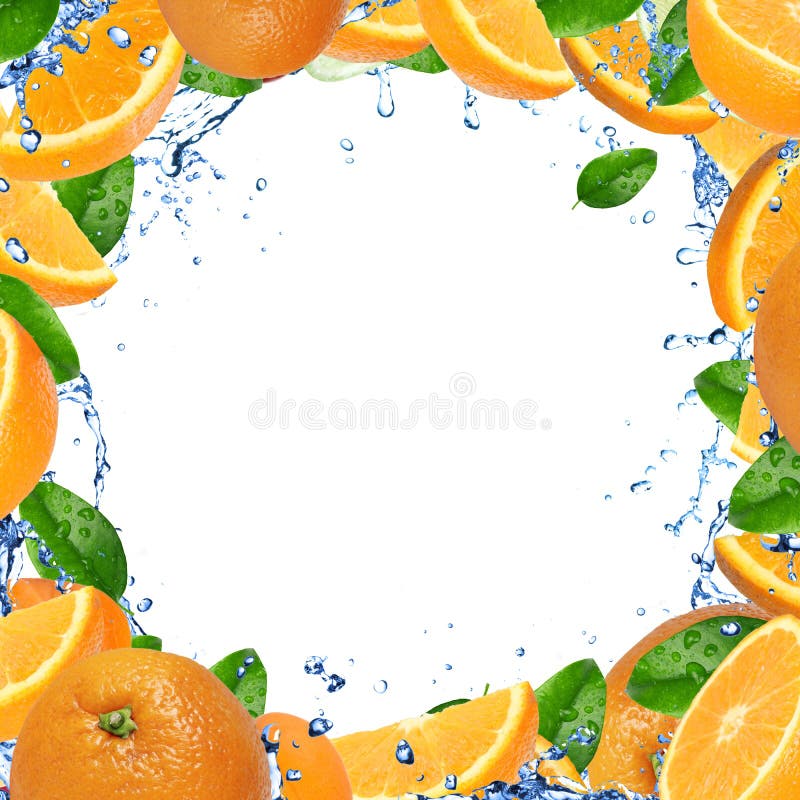 Fresh orange slices frame stock illustration. Illustration of circle ...