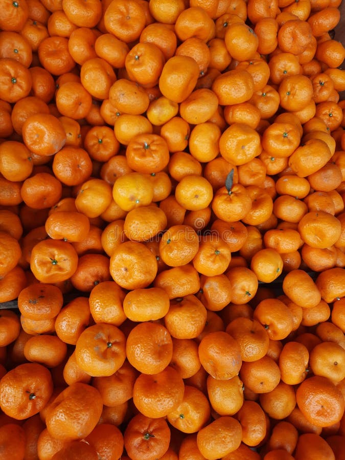 Fresh Orange in Super Market Stock Photo - Image of fresh, maket: 205861652