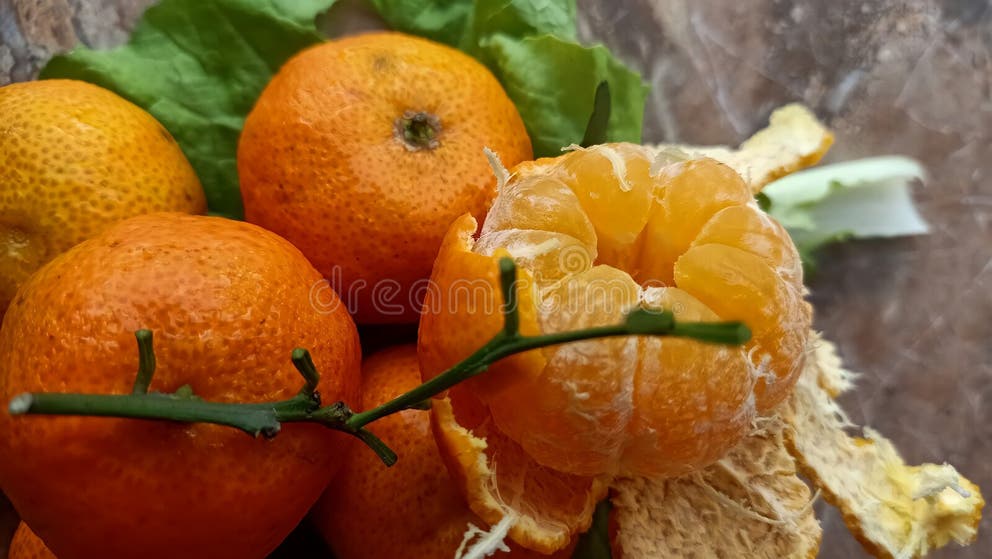 Fresh Orange with Sweet Taste Stock Photo - Image of orange, taste ...