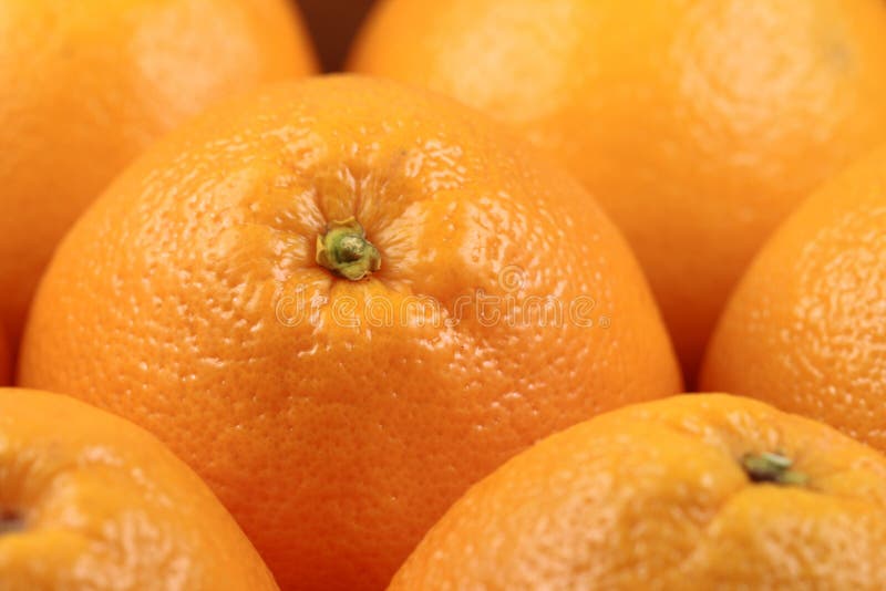 Fresh oranges stock image. Image of oranges, food, orange - 10246153