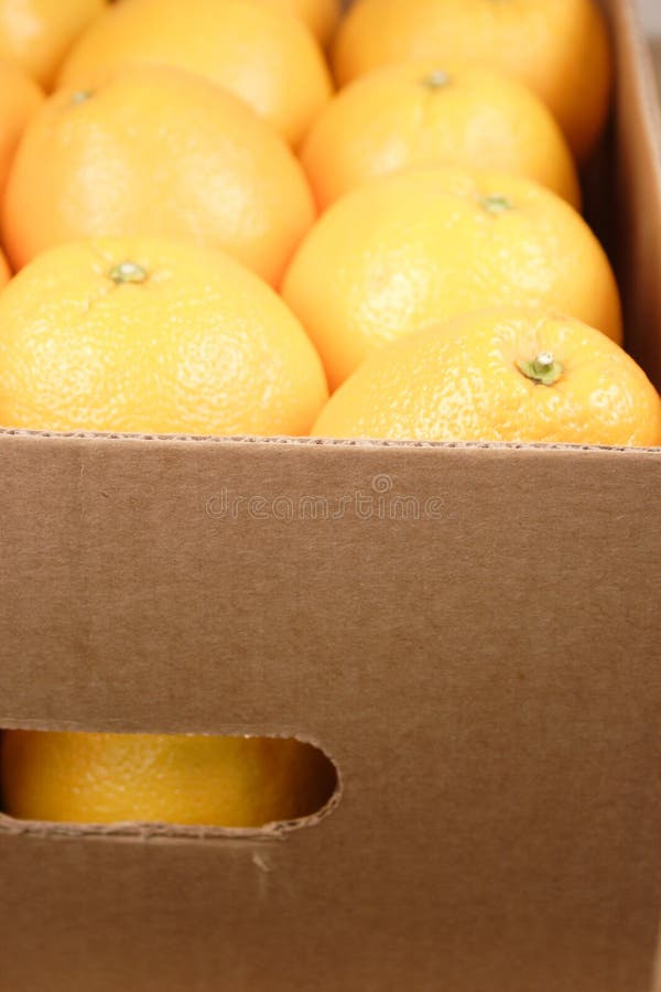 Fresh oranges stock photo. Image of ingredient, healthy - 11845078