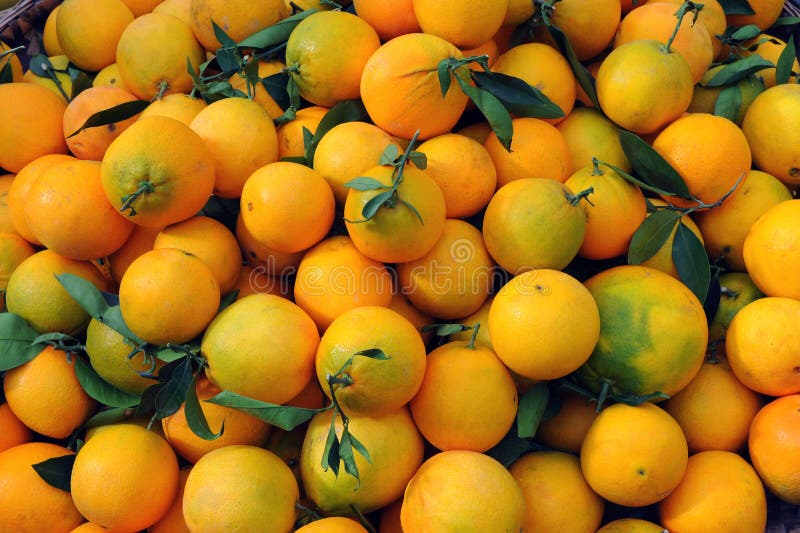 Fresh oranges stock photo. Image of nature, natural, orange - 16795122