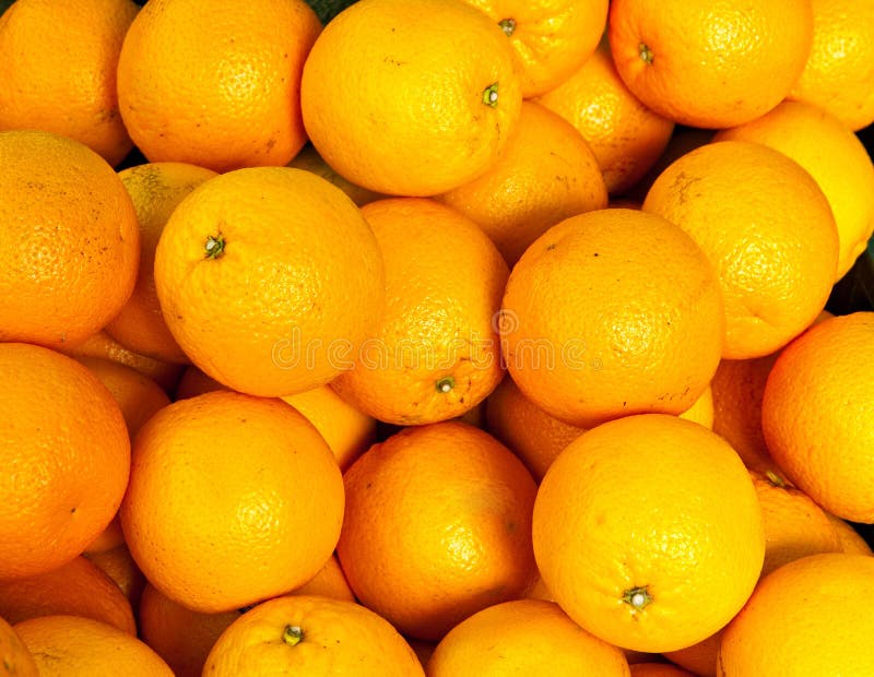 Fresh Oranges stock photo. Image of circle, natural, beverage - 7975434