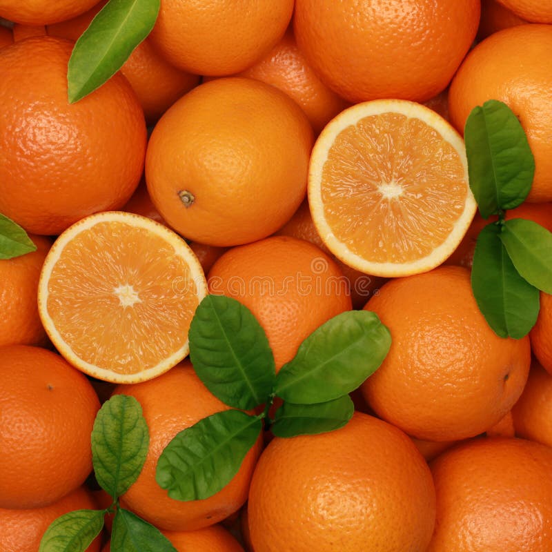 Fresh oranges stock photo. Image of eating, food, fresh - 26993130
