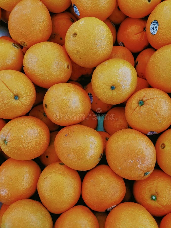 Fresh oranges stock photo. Image of apple, food, tree - 250587264