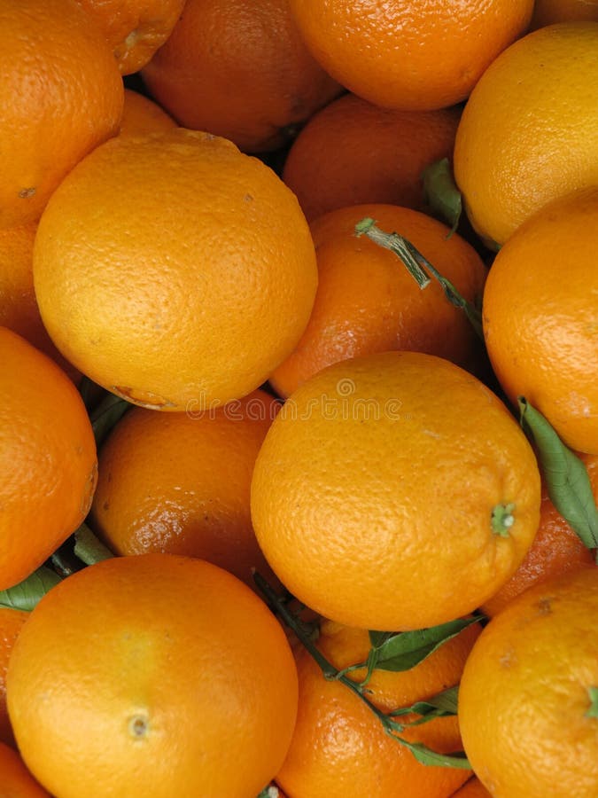 Fresh Oranges on the Market Stock Photo - Image of life, farm: 29760312