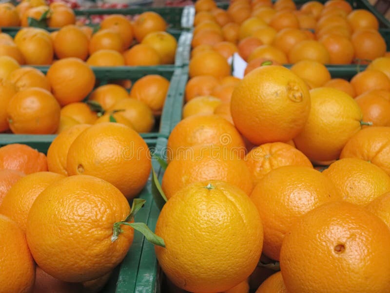 Fresh Oranges on the Market Stock Photo - Image of life, farm: 29760312