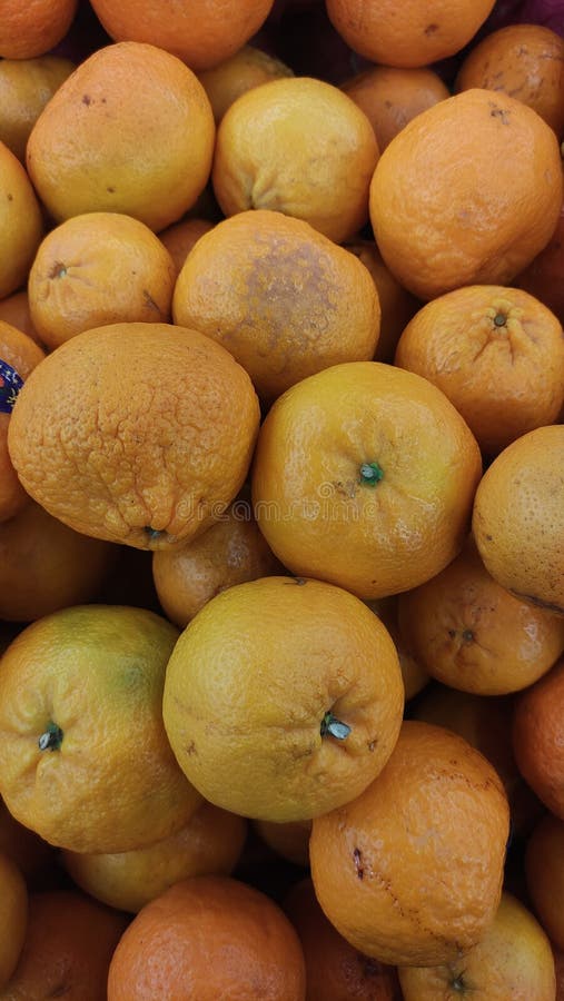 Fresh Oranges stock photo. Image of dish, closeup, fresh - 262135110