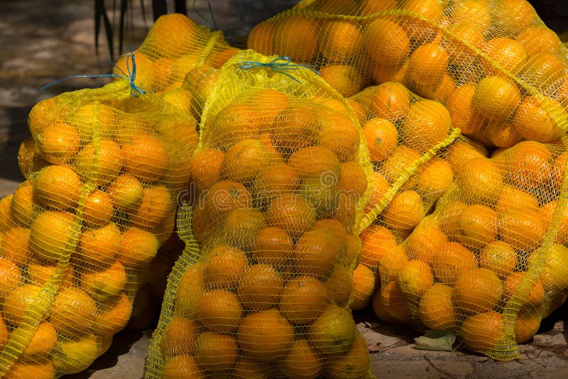 Fresh oranges stock photo. Image of market, healthy, produce - 46814524
