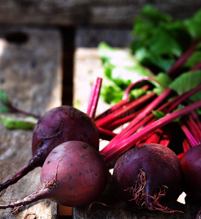 Fresh, organic beet root stock photo. Image of nutritious - 32057604