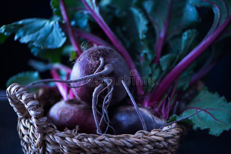 Fresh Organic Beets, Beetroots in Rustic Basket. Angle View Stock Photo ...