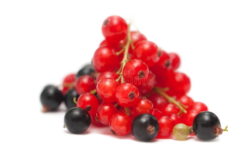 Fresh organic berries stock photo. Image of market, forest - 32789348