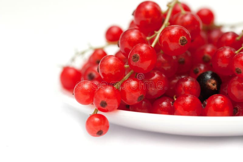 Fresh organic berries stock image. Image of isolated - 32789379