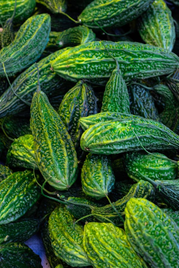 327 Fresh Bitter Guard Stock Photos - Free & Royalty-Free Stock Photos ...