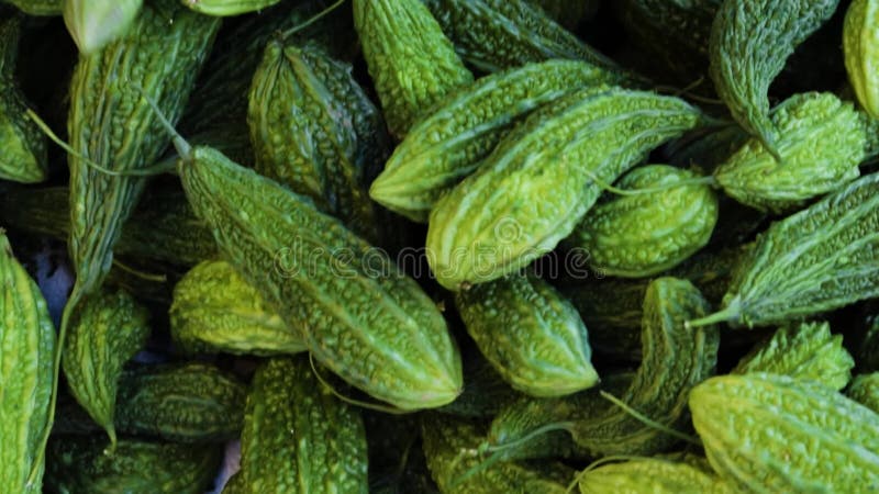 Fresh Organic Bitter Guard from Farm Close Up from Different Angle ...