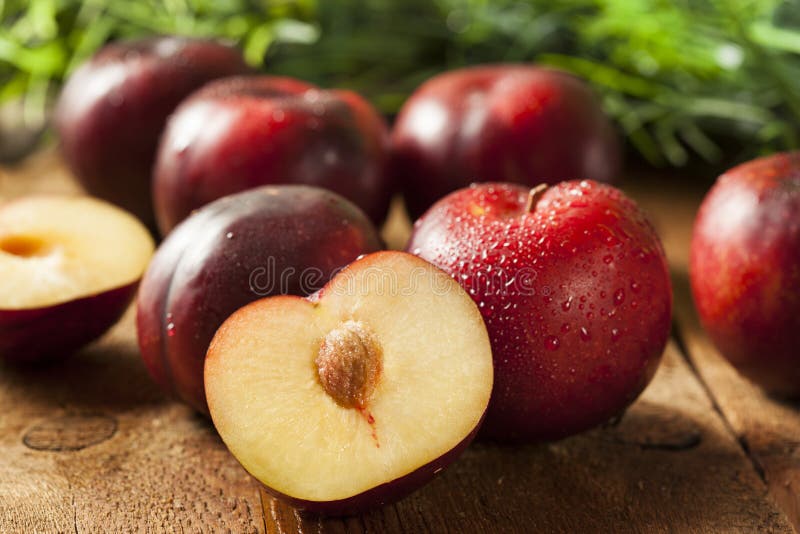 Fresh Organic Black Plums stock photo. Image of green - 33539726