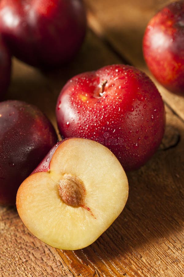 Fresh Organic Black Plums stock image. Image of sweet - 33539737
