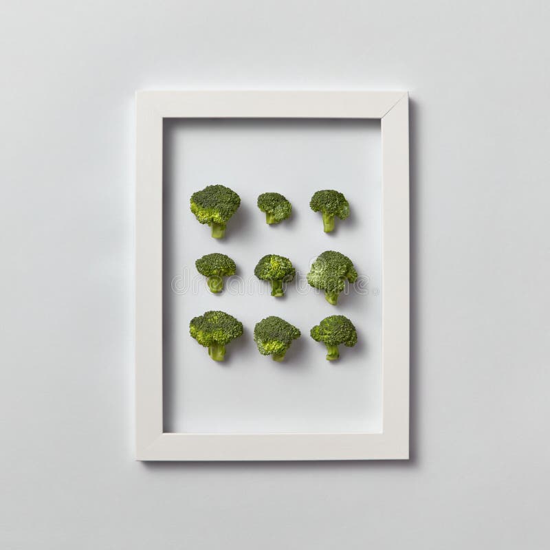 Fresh Organic Broccoli Set in a Frame on a Light Gray Background. Stock ...