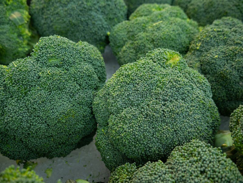 Fresh Organic Broccoli on Supermarket Shelf Stock Image - Image of diet ...