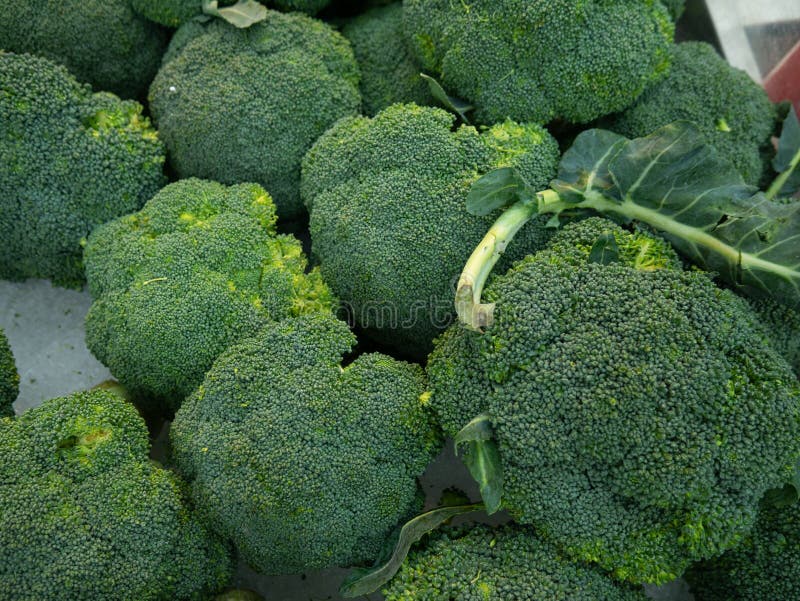 Fresh Organic Broccoli on Supermarket Shelf Stock Photo - Image of ...