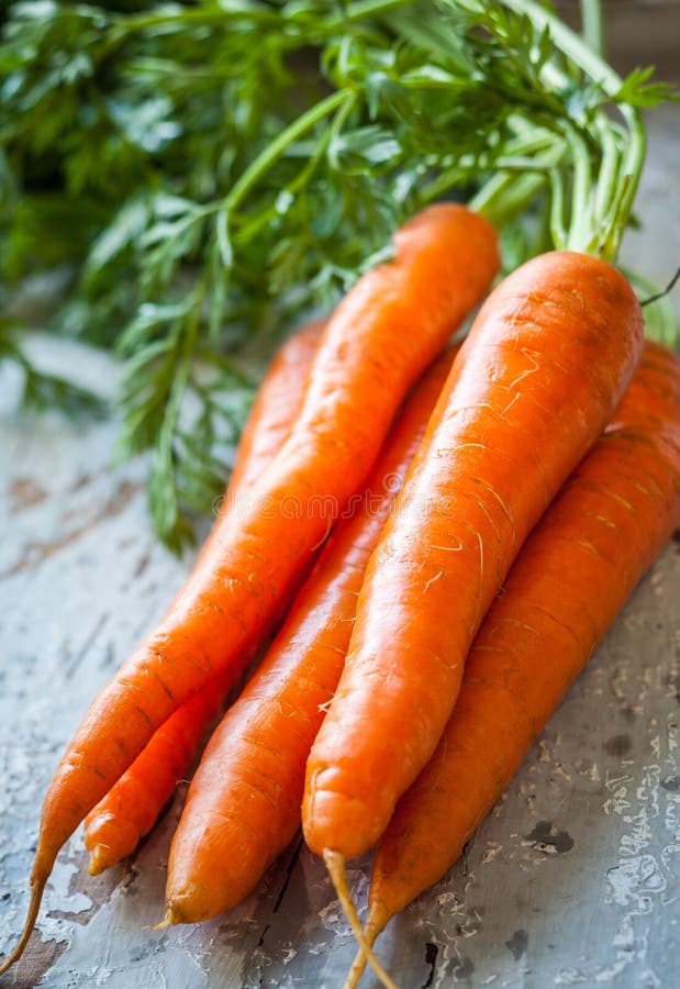 Fresh organic carrots stock photo. Image of colorful - 42112836