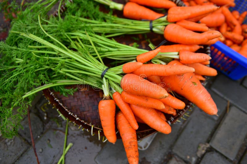 Fresh organic carrots stock image. Image of tour, carrot - 70843959
