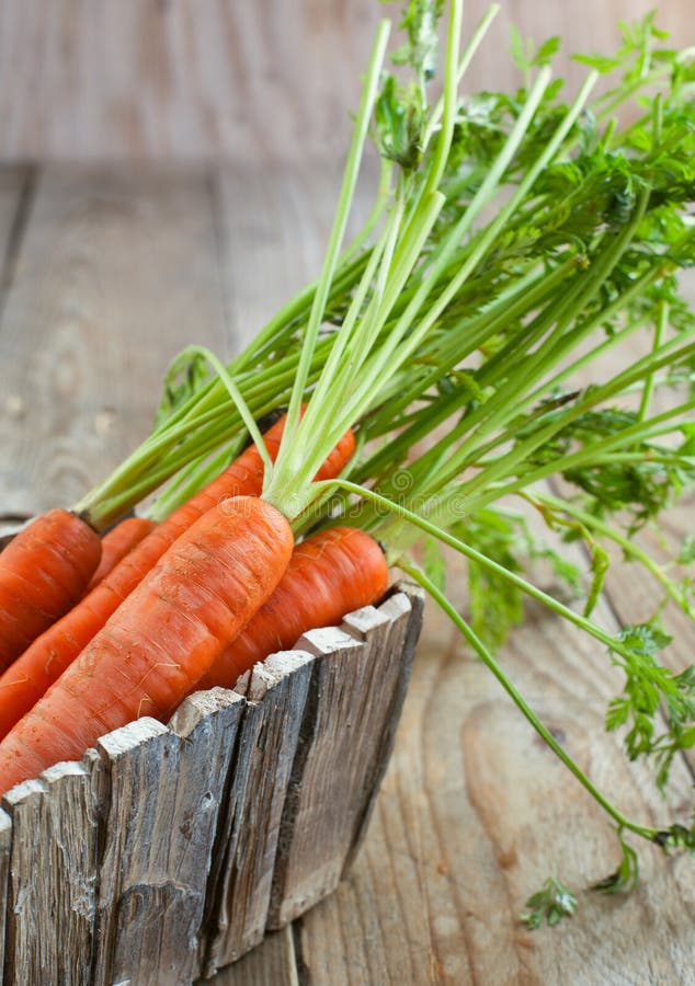 Fresh Organic Carrots in a Wooden Box. Stock Image - Image of crunchy ...