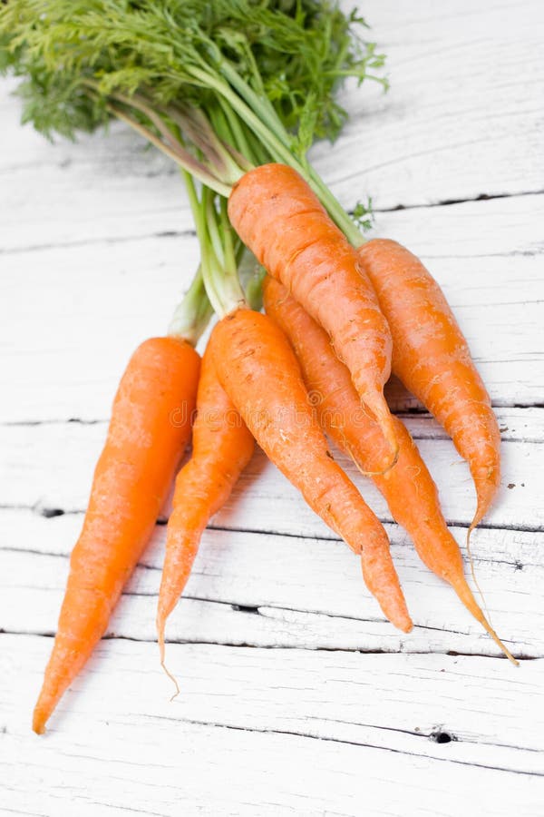 Fresh organic carrots. stock photo. Image of market, summer - 56416704