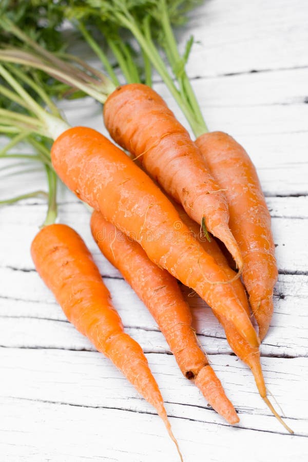 Fresh organic carrots. stock photo. Image of market, summer - 56416704