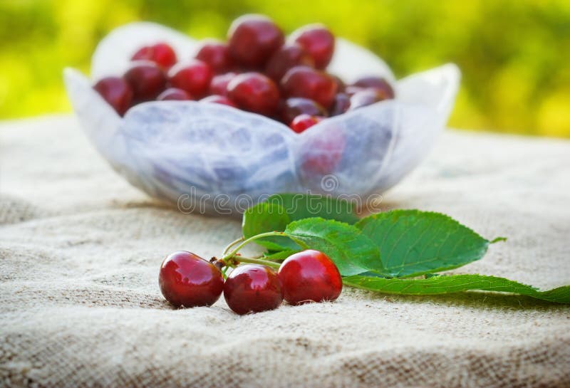 Fresh organic cherries stock image. Image of cherry, luscious - 38059395