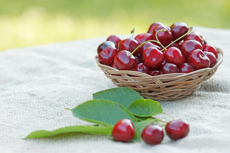 Fresh organic cherries stock photo. Image of light, healthy - 38076848