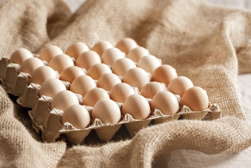 Fresh Organic Chicken Eggs in Carton Pack or Egg Paper Container on a ...