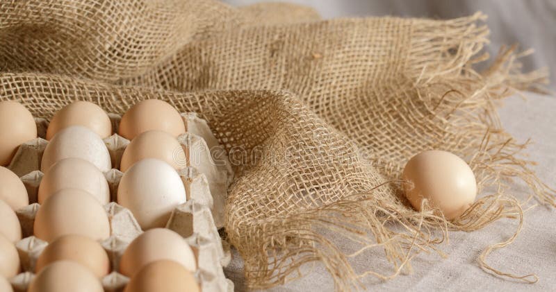 Fresh Organic Chicken Eggs in Carton Pack or Egg Paper Container on a ...
