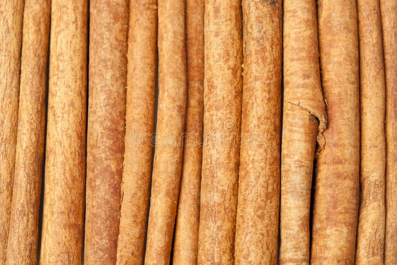 Fresh Organic Cinnamon stock photo. Image of seasoning - 25666692