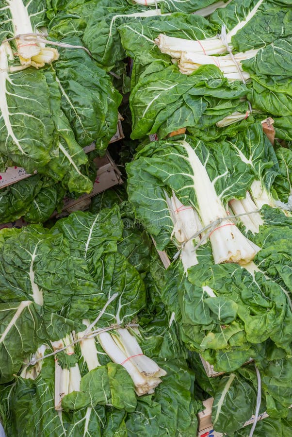 Fresh Organic Collard Greens Stock Photo - Image of food, drink: 38016534
