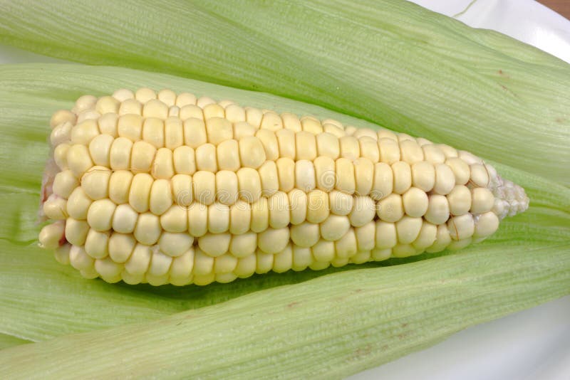 Fresh organic corn stock photo. Image of vegetable, natural - 11925408