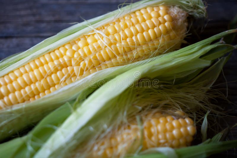 Fresh organic corn stock image. Image of fresh, background - 127623021