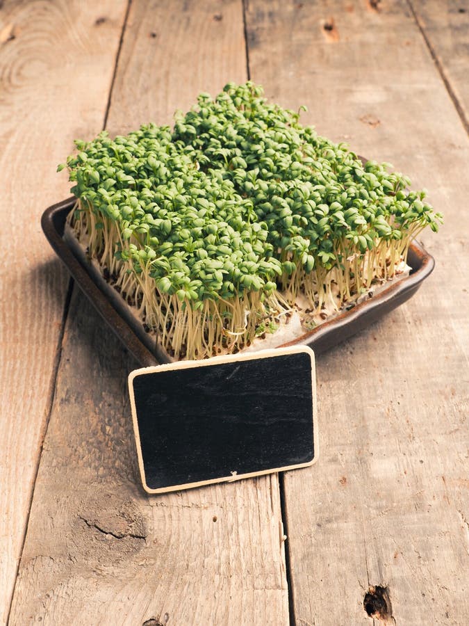 Fresh Organic Cress on a Rustic Kitchen Table Stock Photo - Image of ...