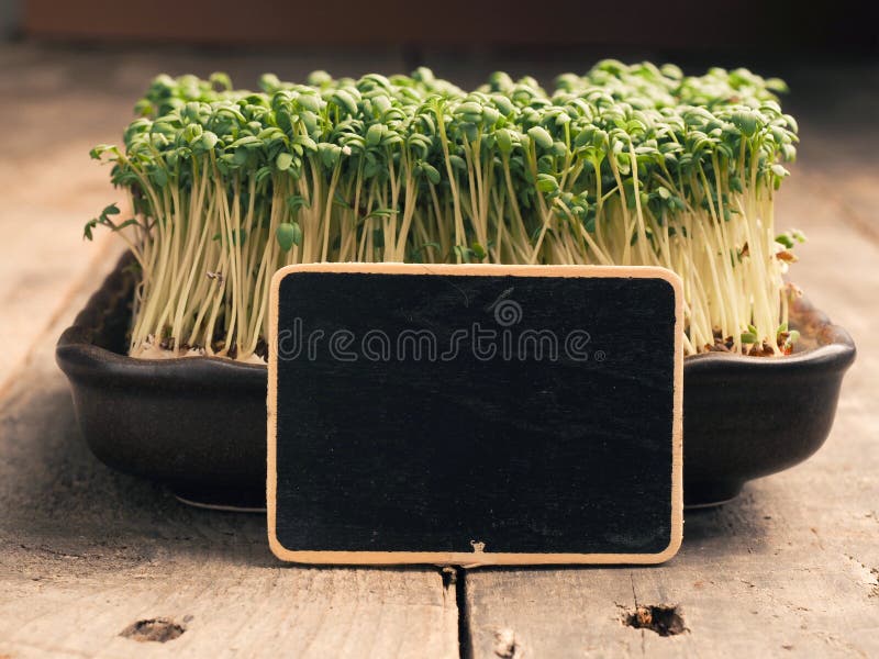 Fresh Organic Cress on a Rustic Kitchen Table Stock Photo - Image of ...