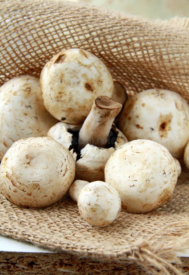 Fresh Organic Field Mushrooms Stock Photo - Image of healthful, cook ...