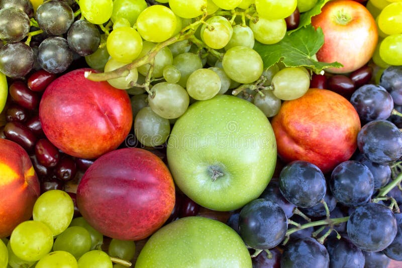 Fresh organic food stock image. Image of juicy, broccoli - 36242429
