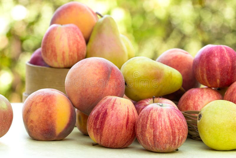 Fresh organic fruits stock photo. Image of healthy, basket - 26591654